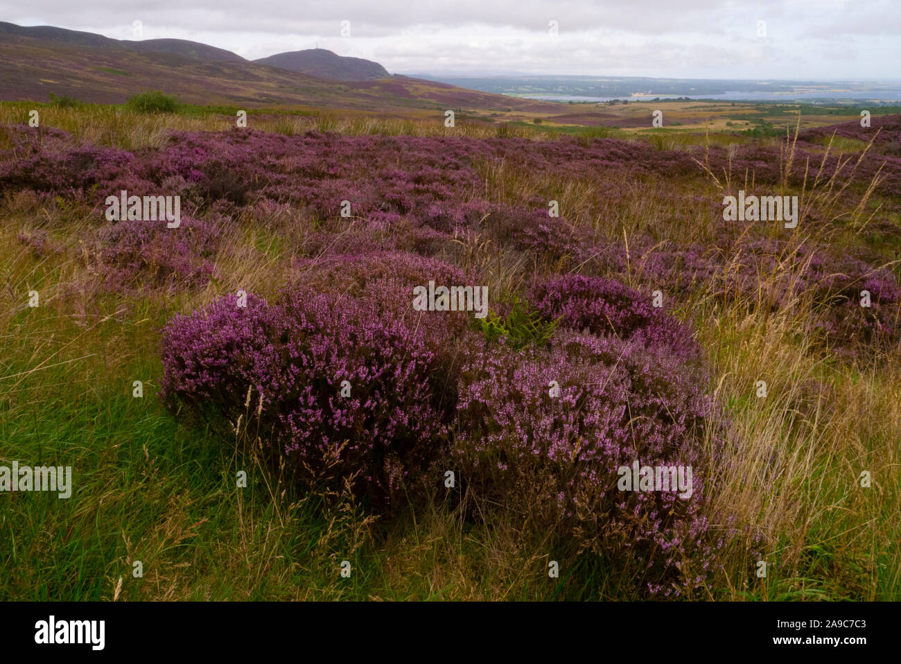 Sutherland Scotland UK Stock Photo - Alamy