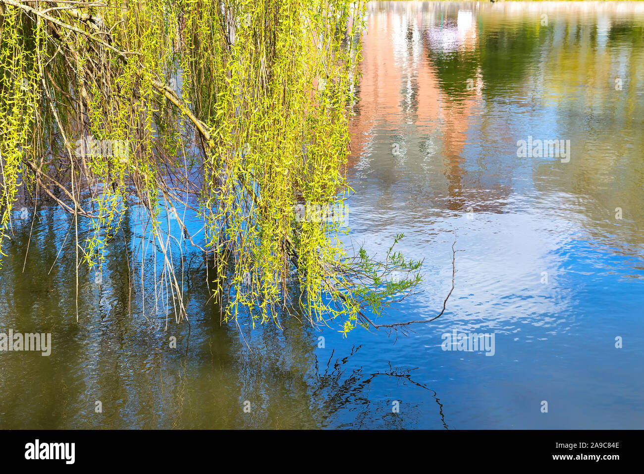 Weeping willow tree and water hi-res stock photography and images - Alamy