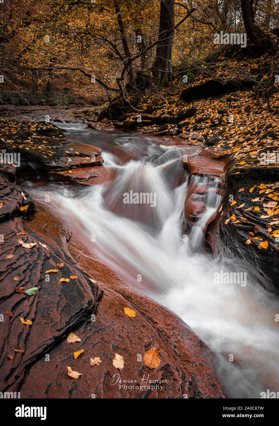 Autumn at its best on the River Gelt Stock Photo - Alamy