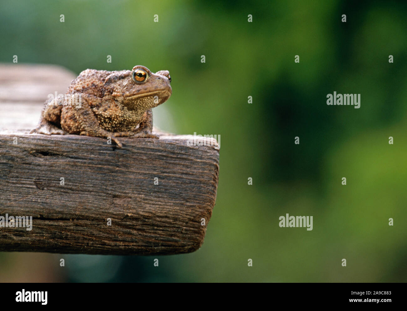 Judging distance hi-res stock photography and images - Alamy