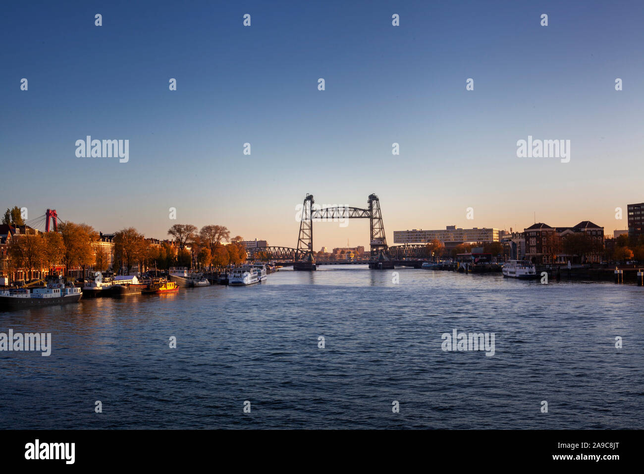 cityscape of Rotterdam with De Hef on the left and the Erasmus bridge ...
