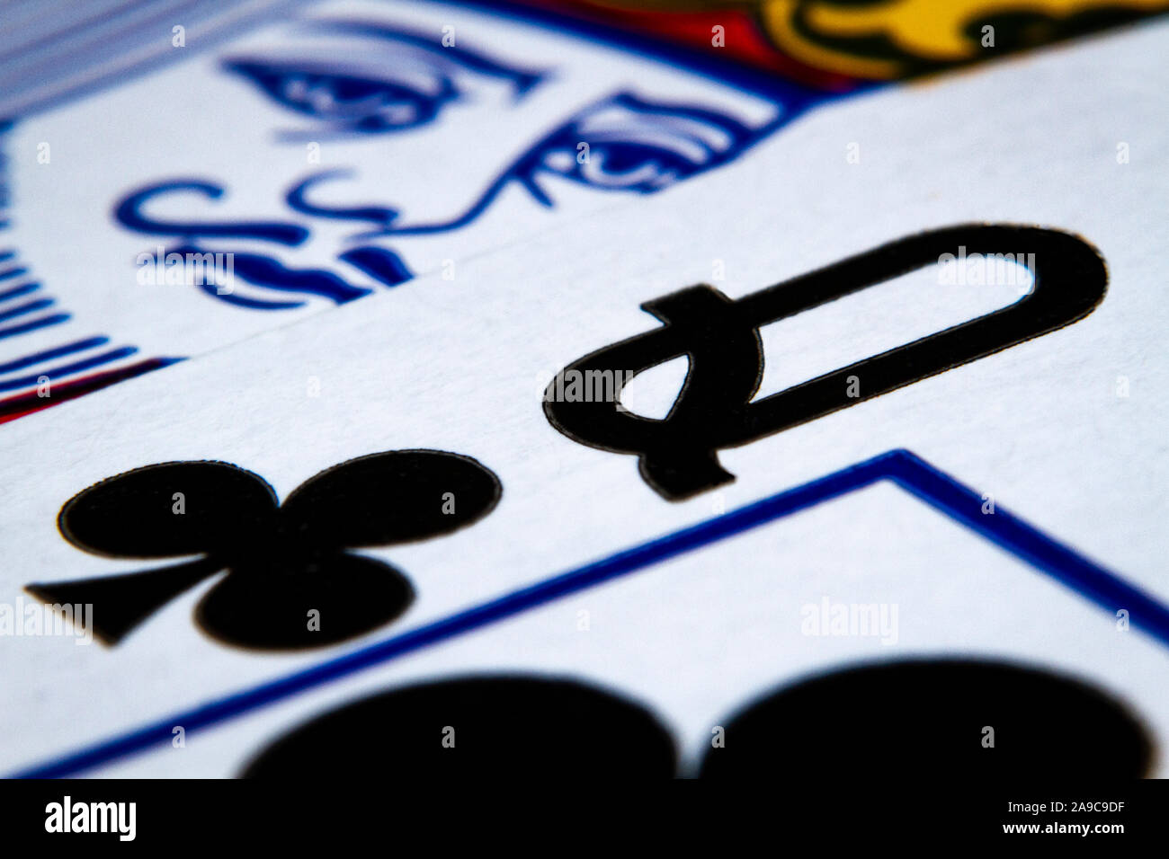 Macro shot playing cards, queen of clubs close-up picture Stock Photo ...