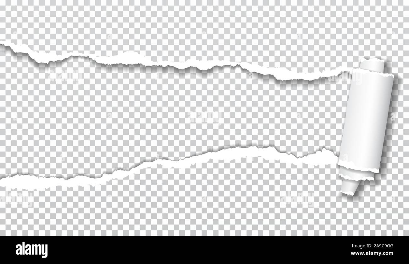 Rolled and ripped white notebook paper sheet is on squared background ...