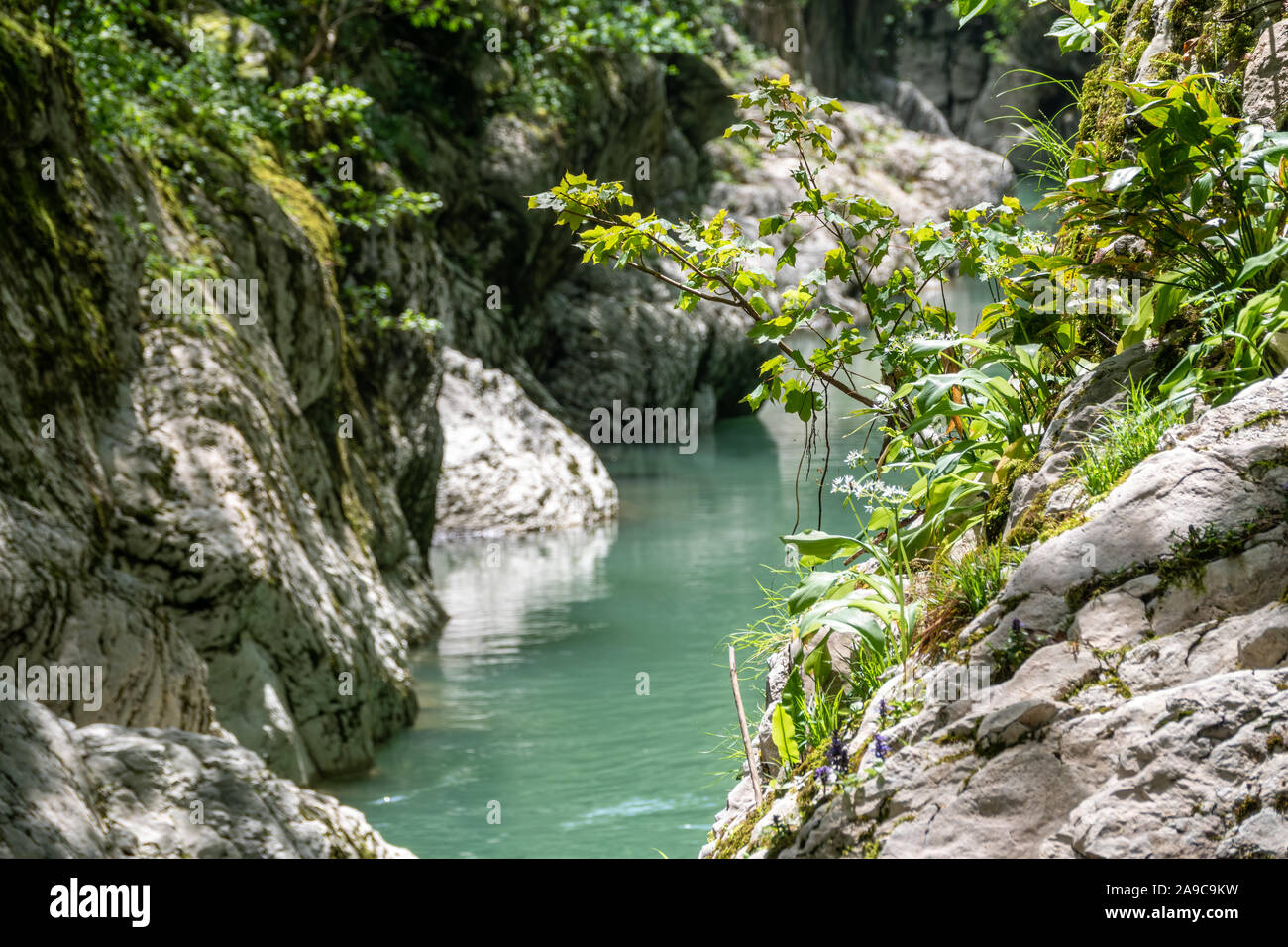 Transparent clear mountain river in a stone gorge. Mountain river with ...