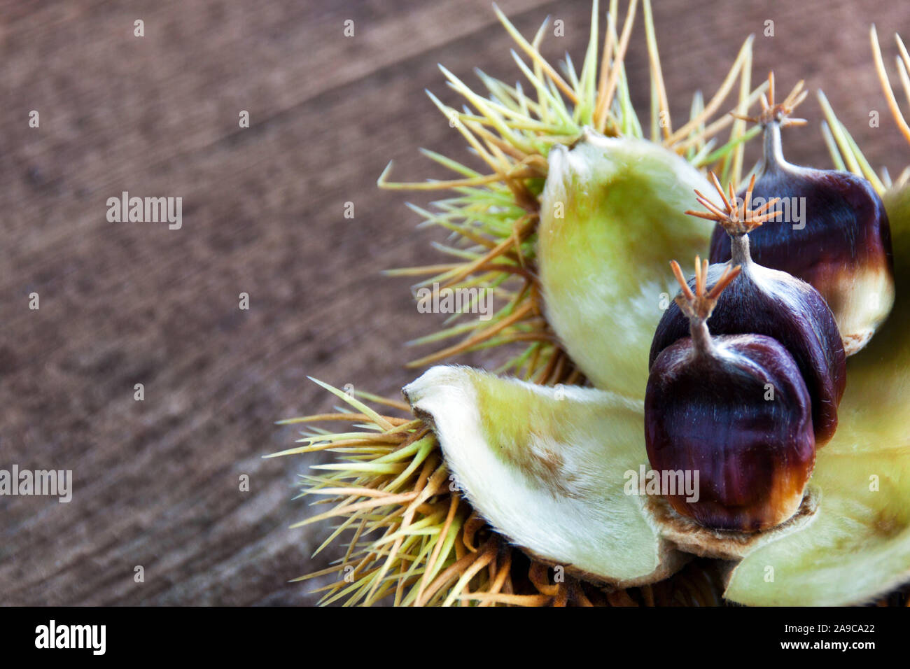 Autumn sweet chestnuts and wooden background Stock Photo - Alamy