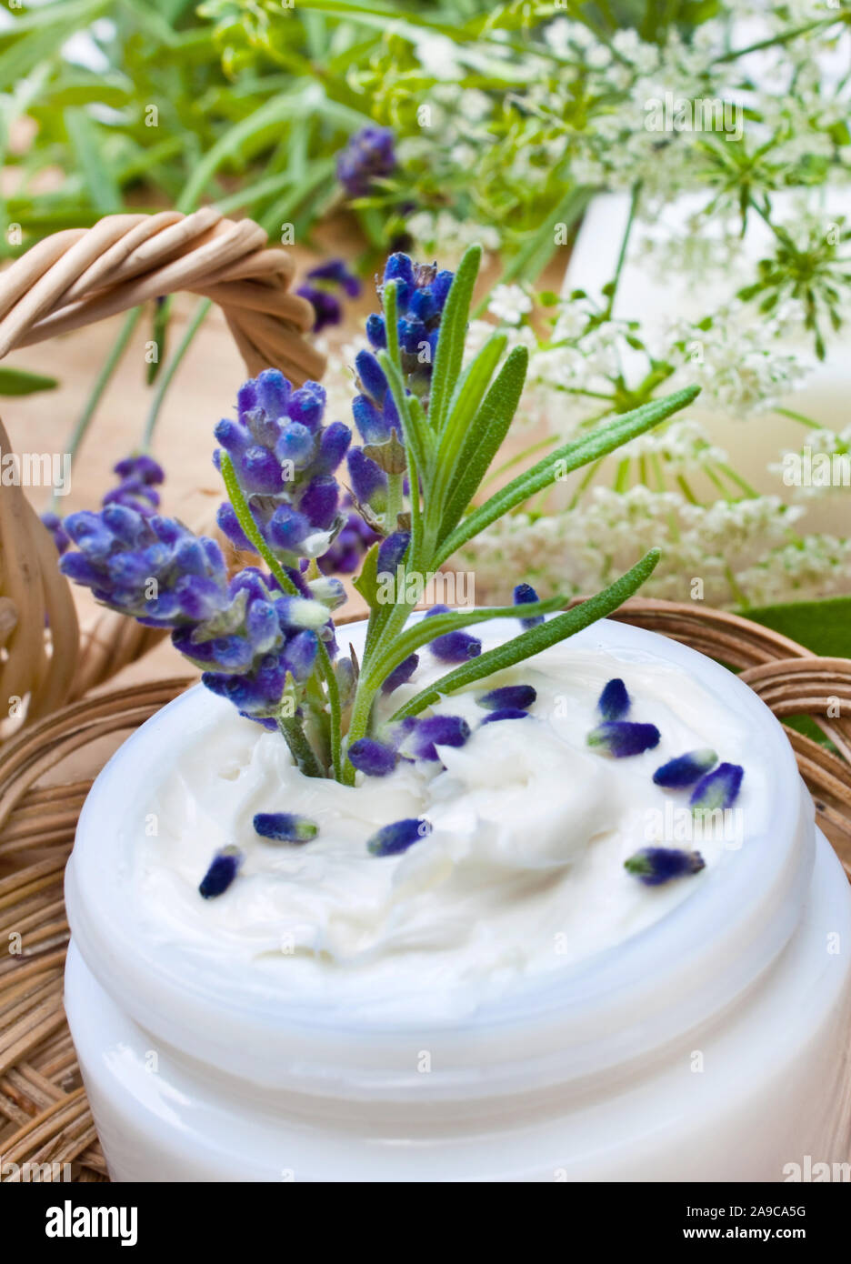 Herbal cream and fresh leaves Stock Photo - Alamy