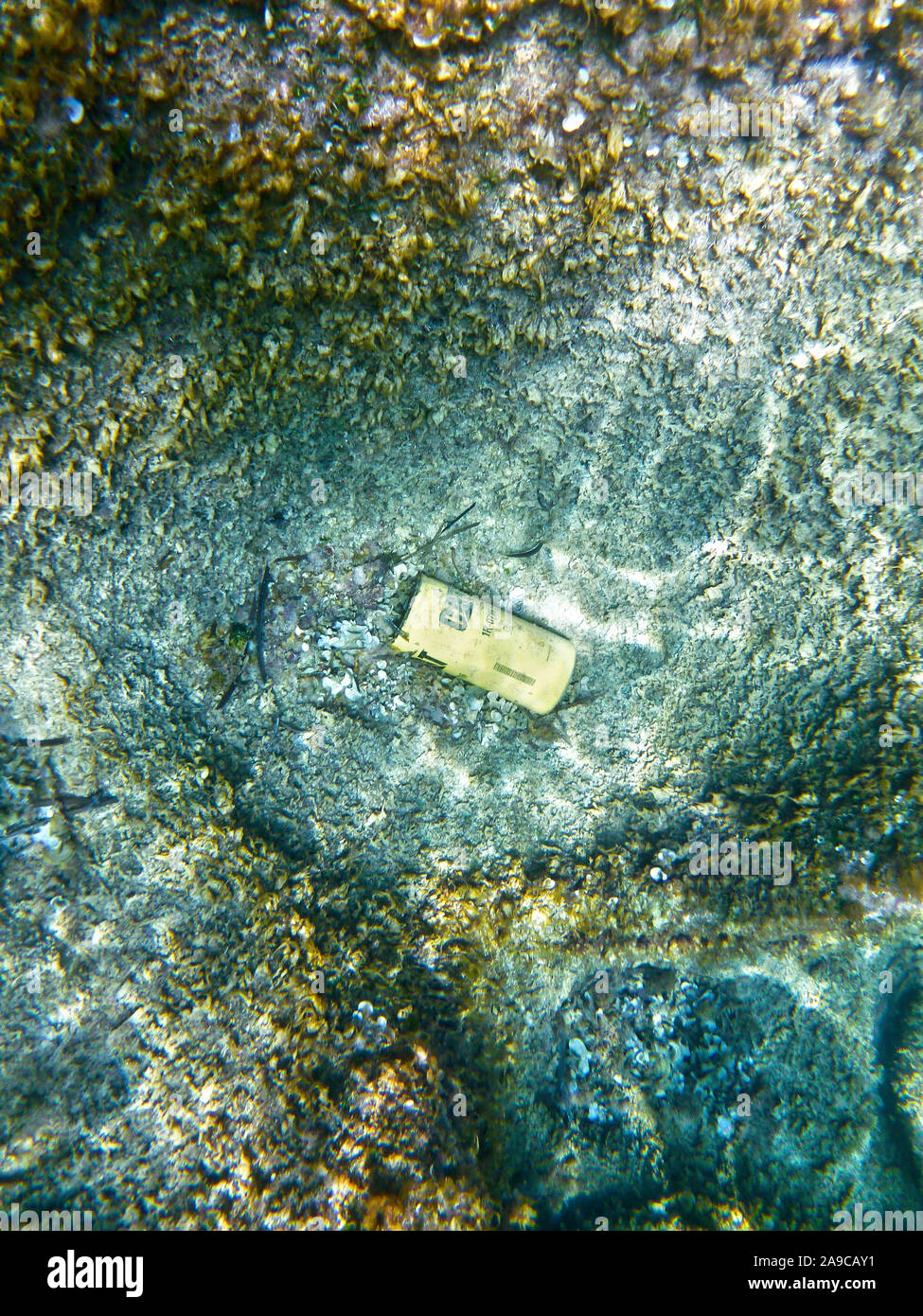 Unfortunately not everyone appreciates the beauty of a clean ...