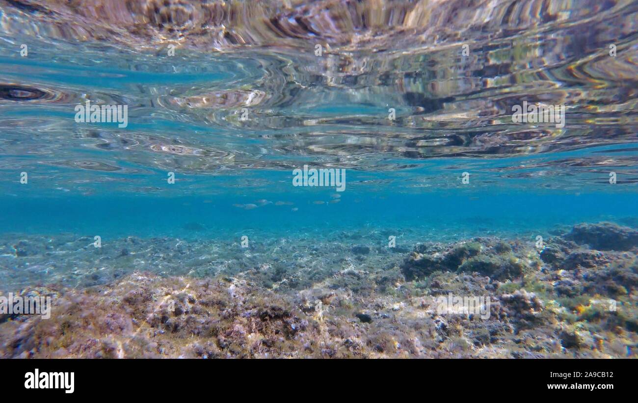 Underwater seascape showing rocky seabed Stock Photo - Alamy