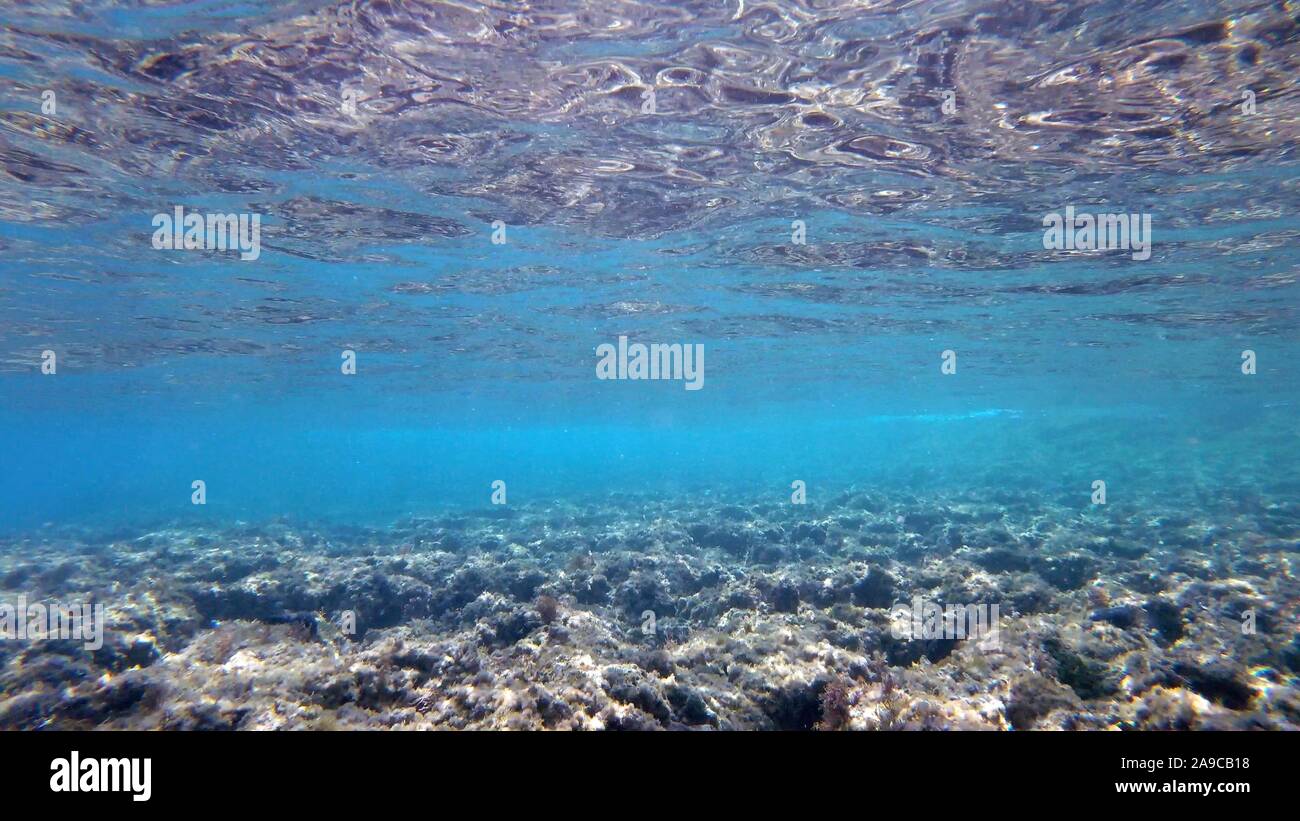 Underwater seascape showing rocky seabed water surface from below Stock ...