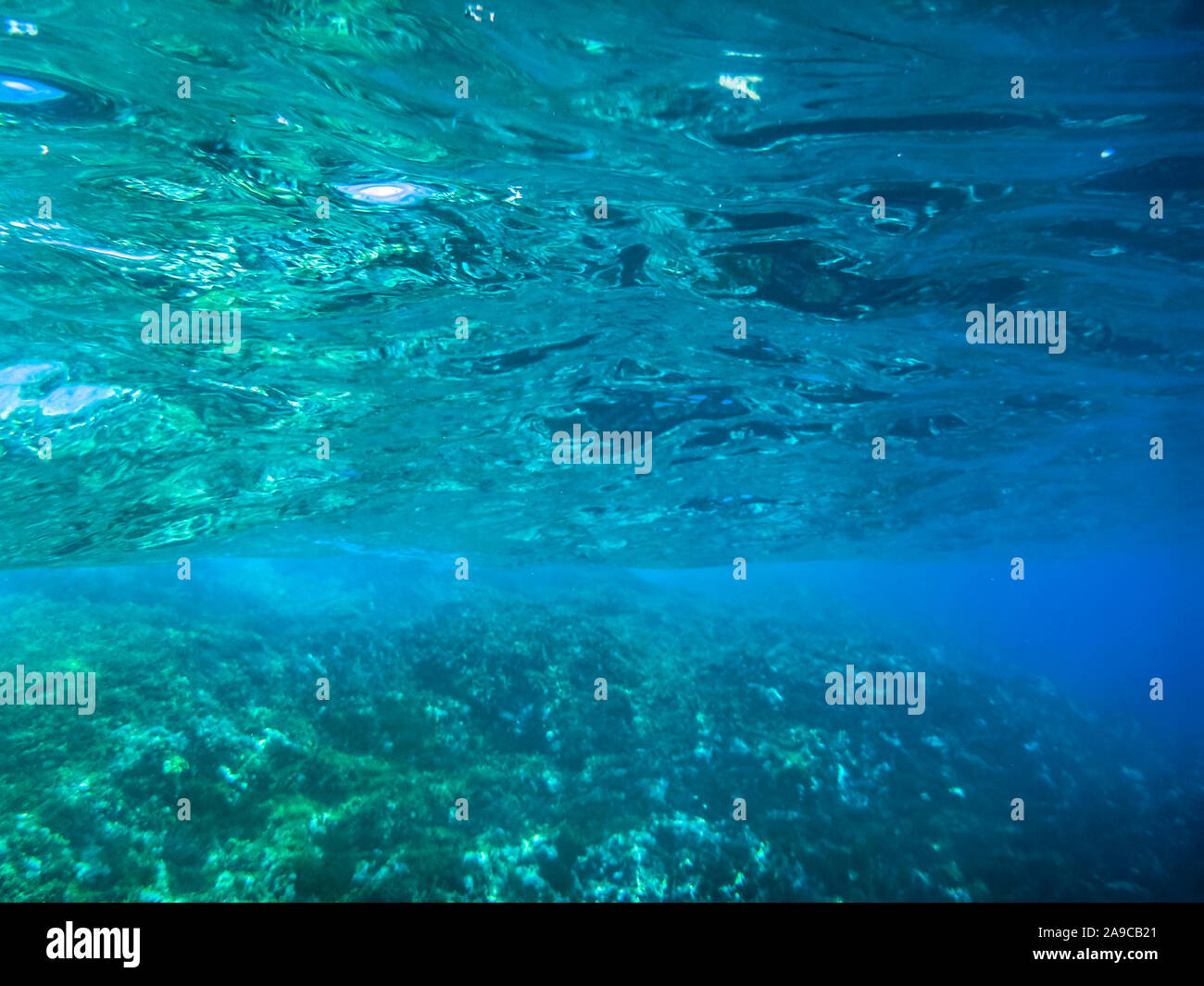Underwater seascape showing surface and shallow rocky seabed Stock ...