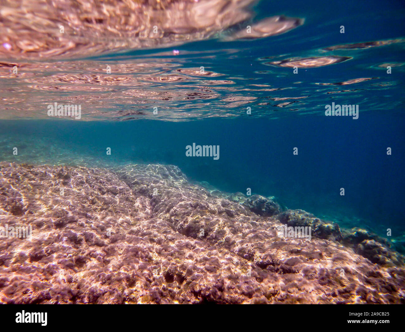 Rocky seabed hi-res stock photography and images - Alamy