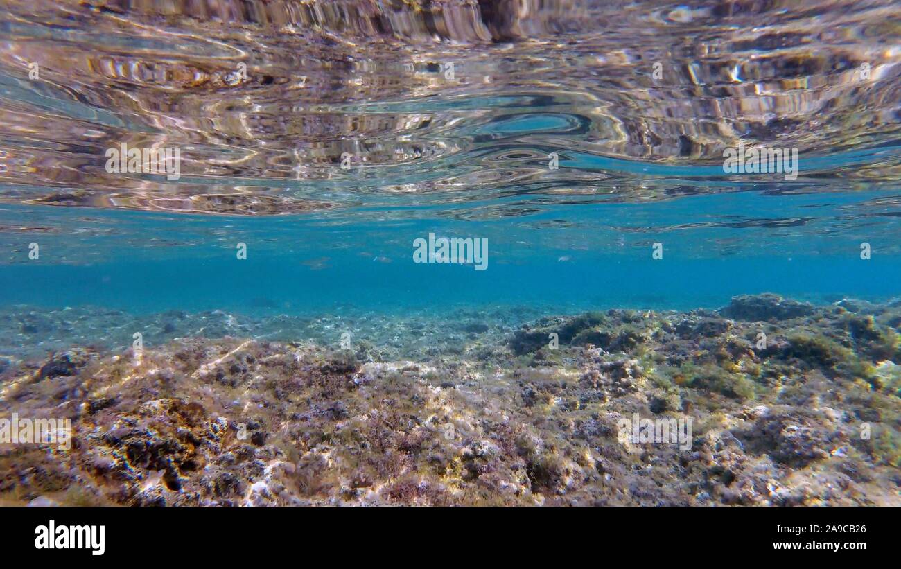 Ocean bottom and surface hi-res stock photography and images - Alamy