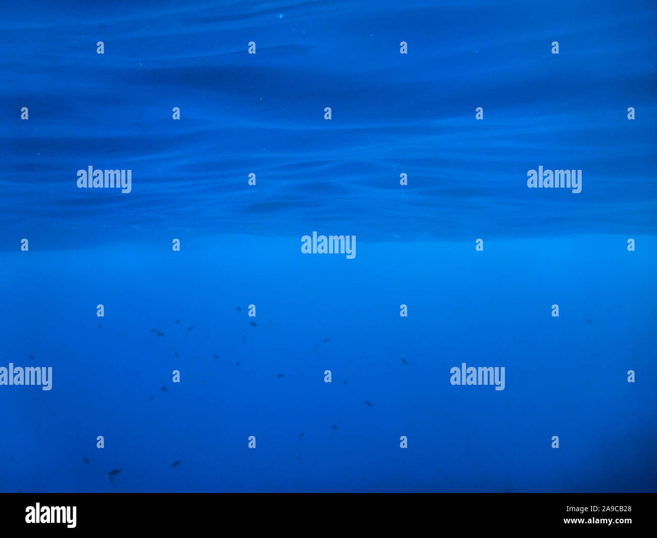 Underwater seascape showing deep blue colours and copyspace Stock Photo ...