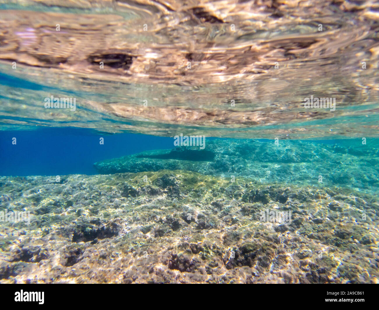 Rocky seabed azure water hi-res stock photography and images - Alamy