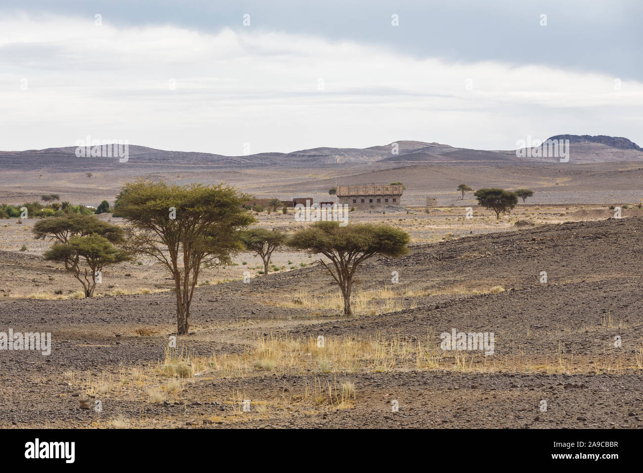 Train station in sahara desert Stock Photo - Alamy
