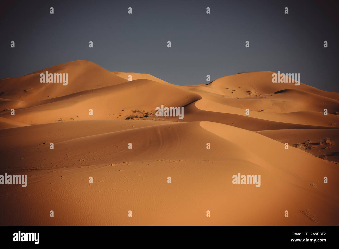 Dunes of sahara desert at sunset Stock Photo - Alamy