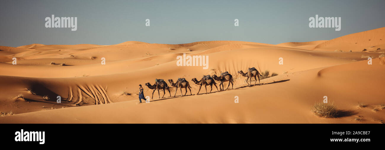 people riding dromedary through the desert Stock Photo - Alamy