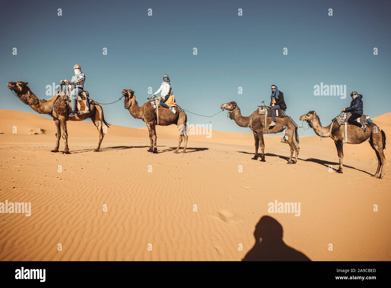 people riding dromedary through the desert Stock Photo - Alamy