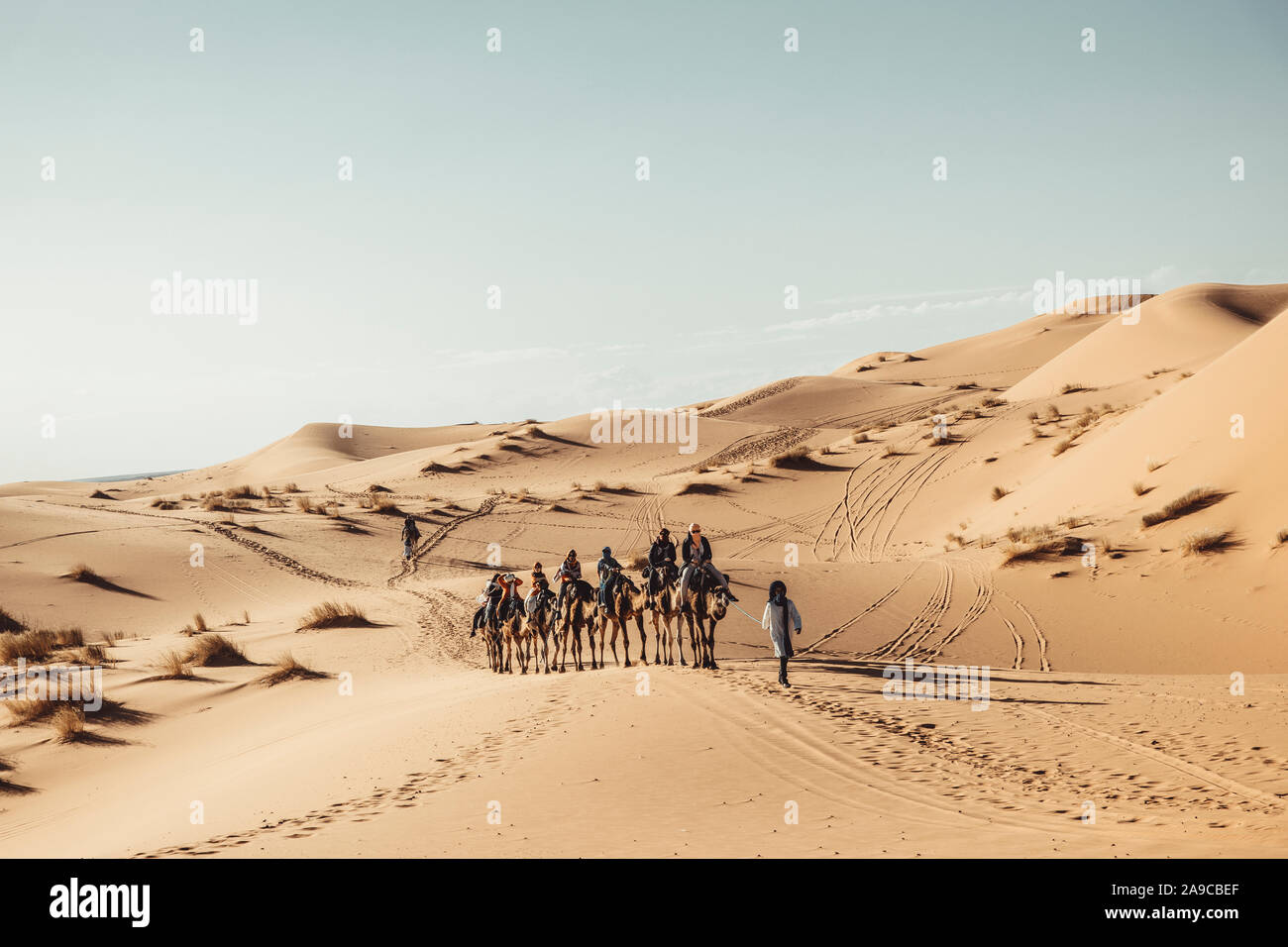 people riding dromedary through the desert Stock Photo - Alamy