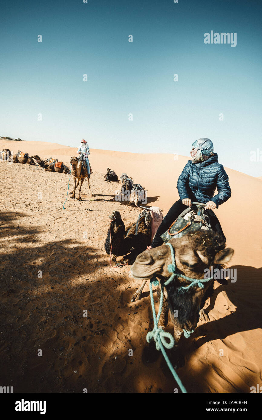 people riding dromedary through the desert Stock Photo - Alamy