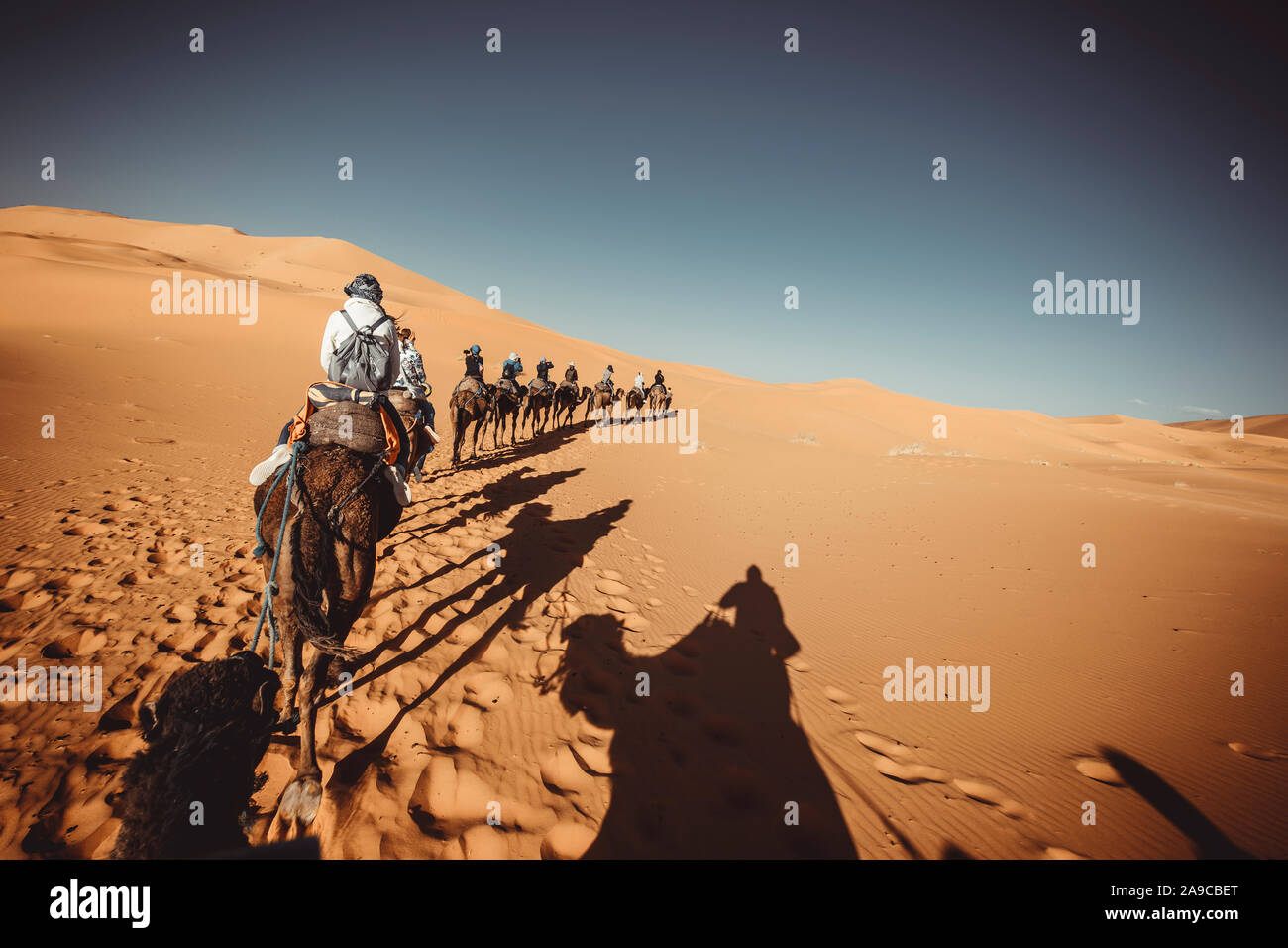 people riding dromedary through the desert Stock Photo - Alamy