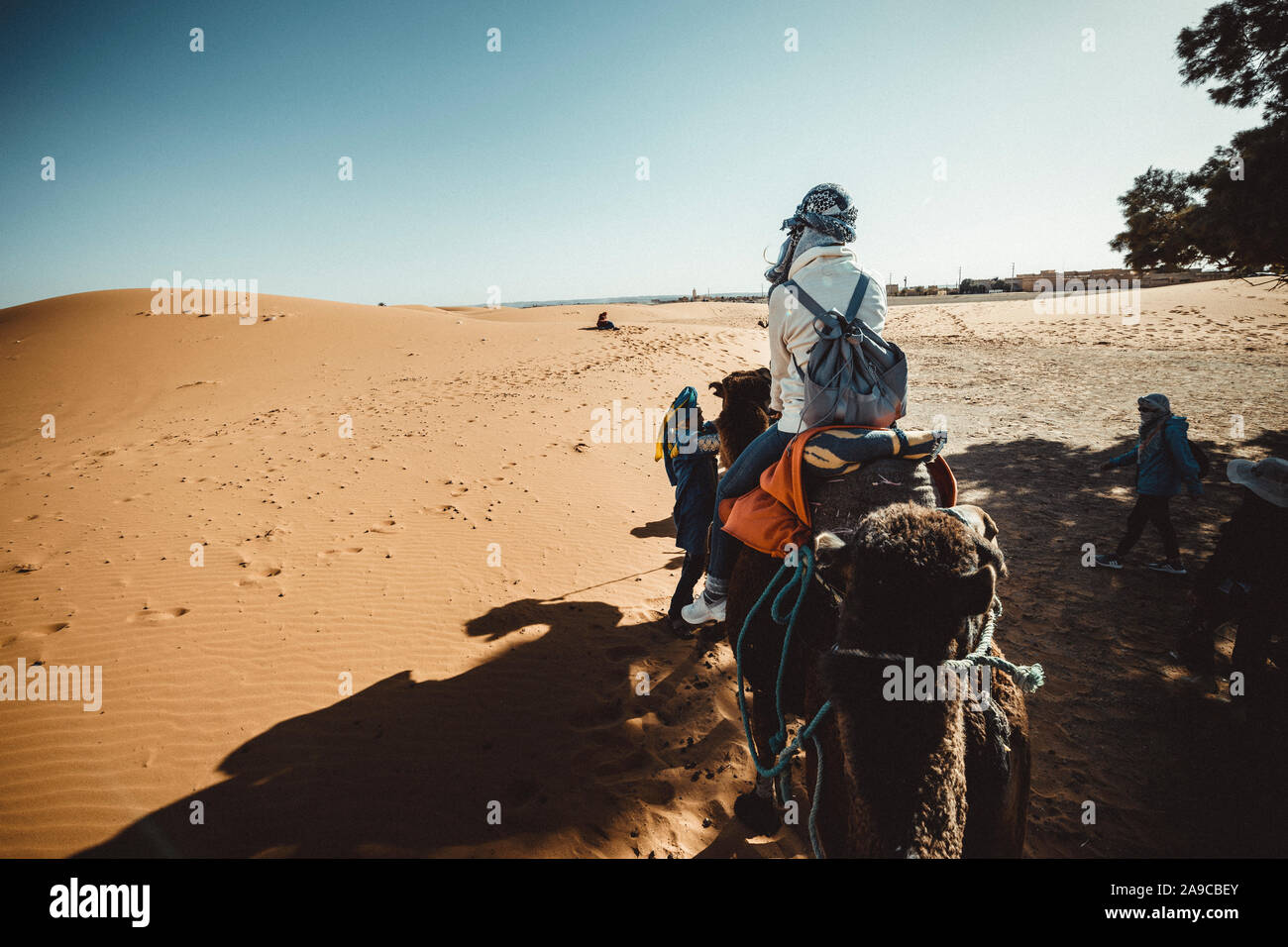 Arabian camel riding through the desert hi-res stock photography and ...