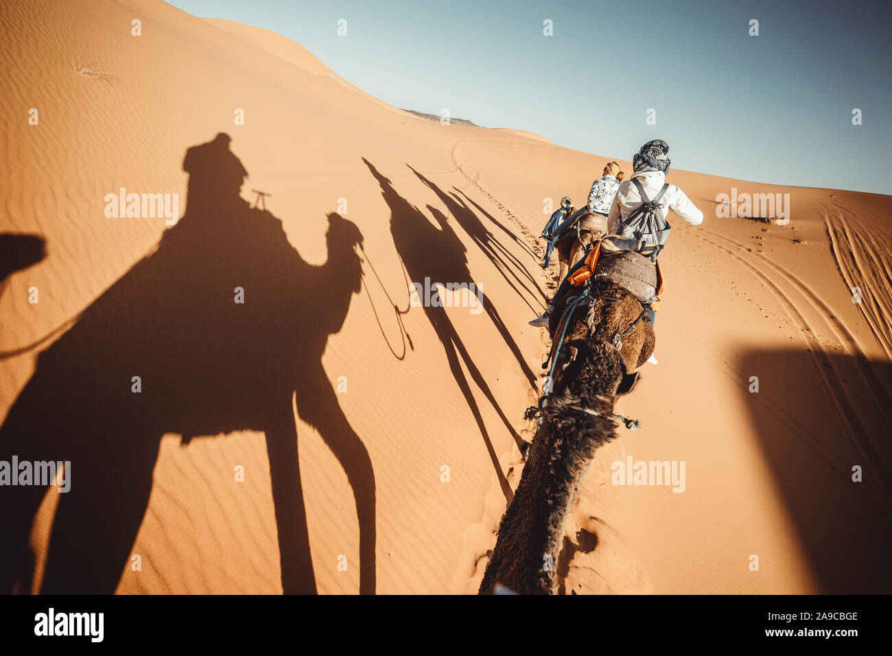 people riding dromedary through the desert Stock Photo - Alamy