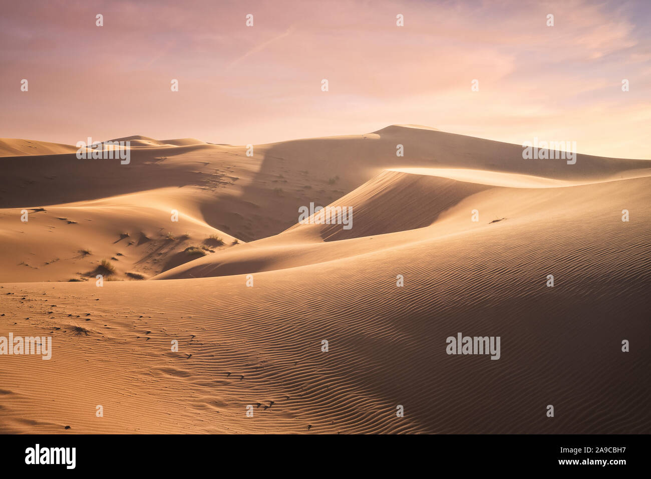 Sunrise at Sahara Desert with dunes Stock Photo - Alamy