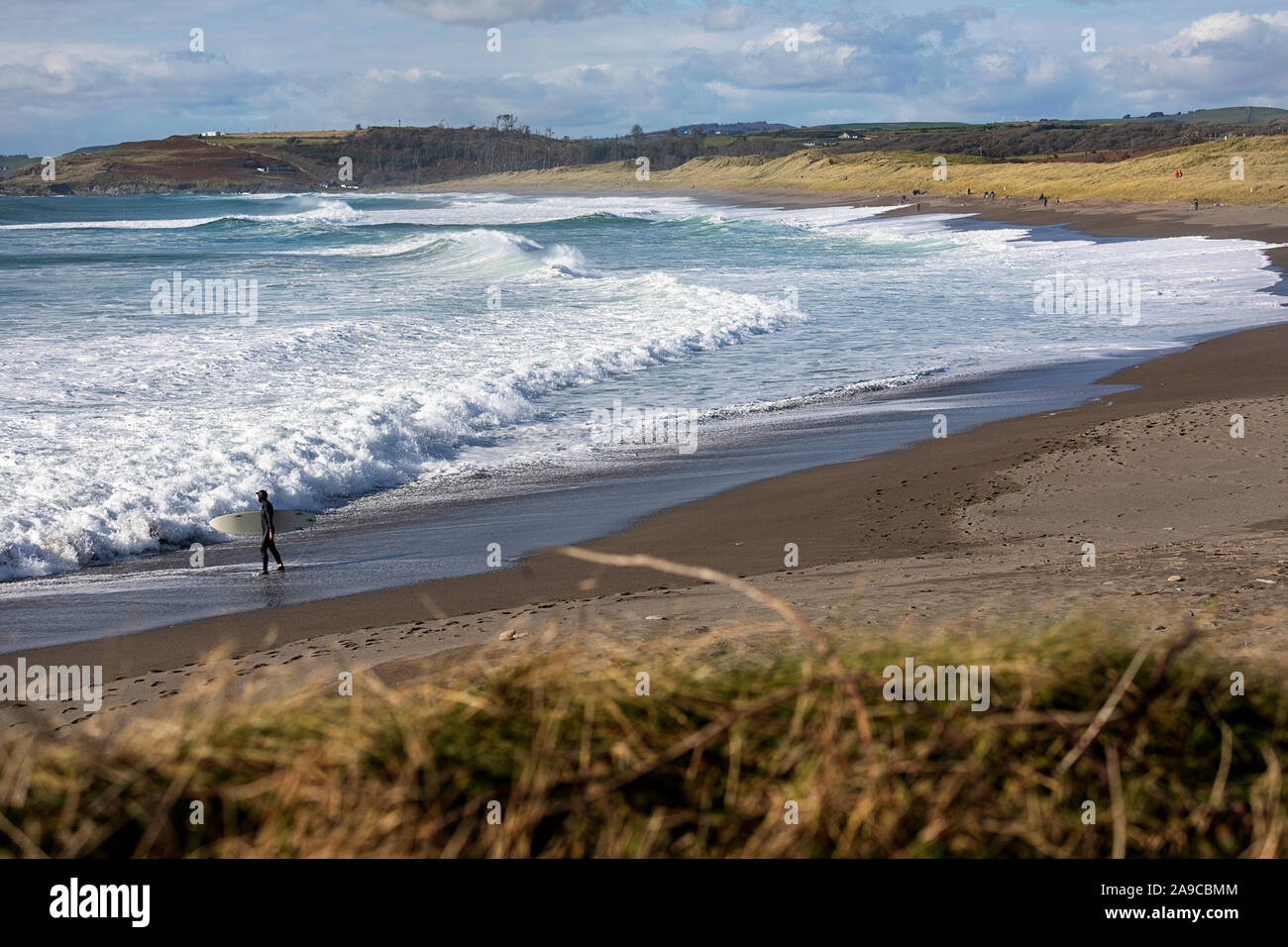 A male surfer in wetsuit entering into the water on Long Strand In ...
