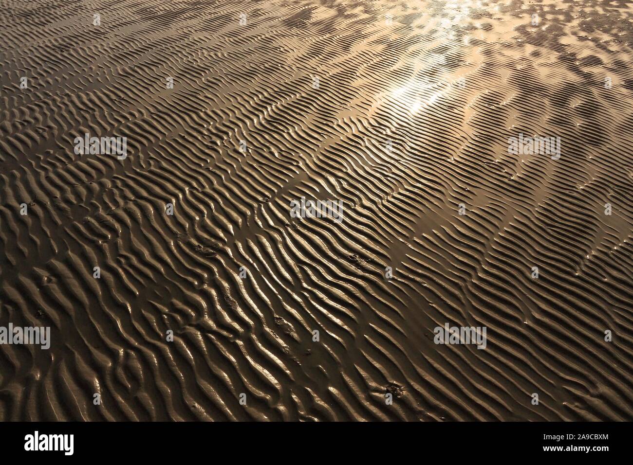 Background of ripples in sand on beach during low tide with golden ...
