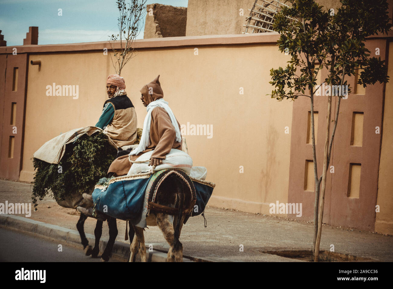 traditional bereber over donkeys Stock Photo - Alamy