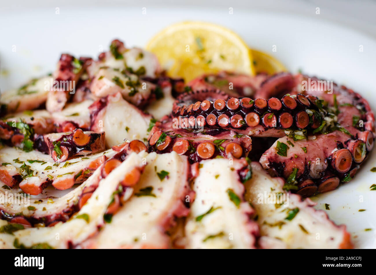 Octopus carpaccio on white background. Mediterranean food, Organic ...