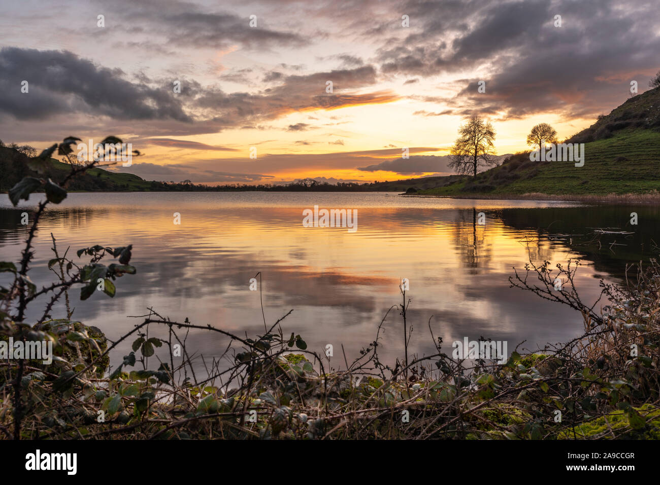 Golden sunset reflected on lake surface, still calm mirror image ...