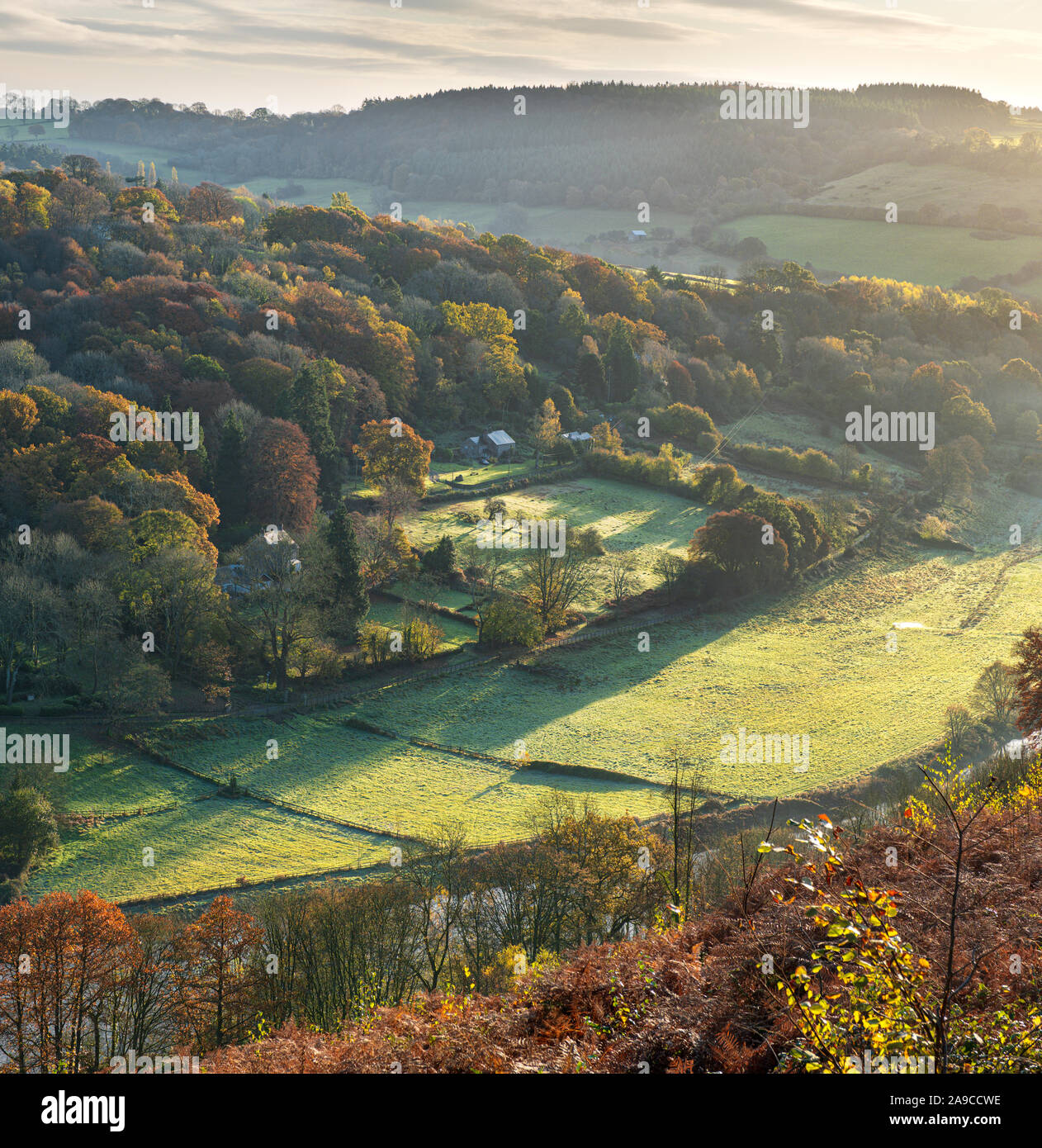 View along the river Wye valley towards Brockweir Stock Photo - Alamy