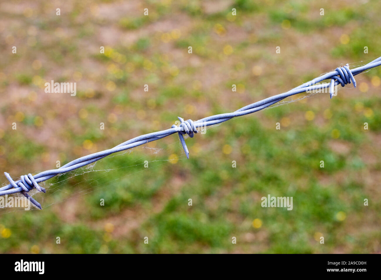 A close-up shot of barbed wire Stock Photo - Alamy