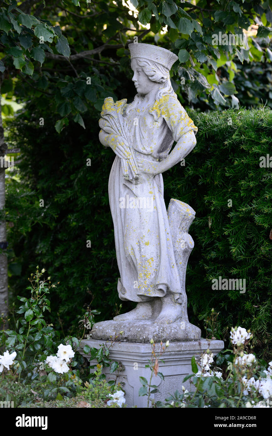 Rosa Iceberg,Rose iceberg,floribunda rose,roses,white,formal garden ...
