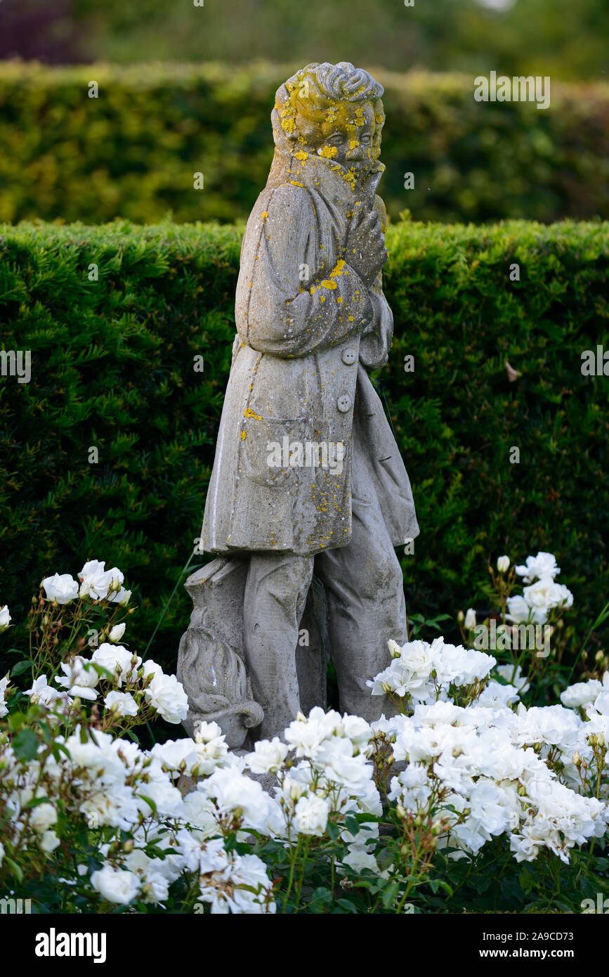 Rosa Iceberg,Rose iceberg,floribunda rose,roses,white,formal garden ...
