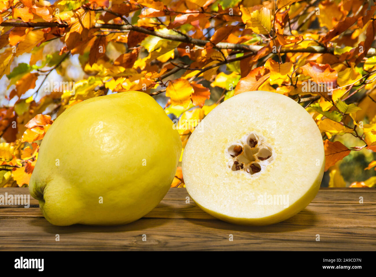 Food fruit fruits quinces quitten hi-res stock photography and images ...