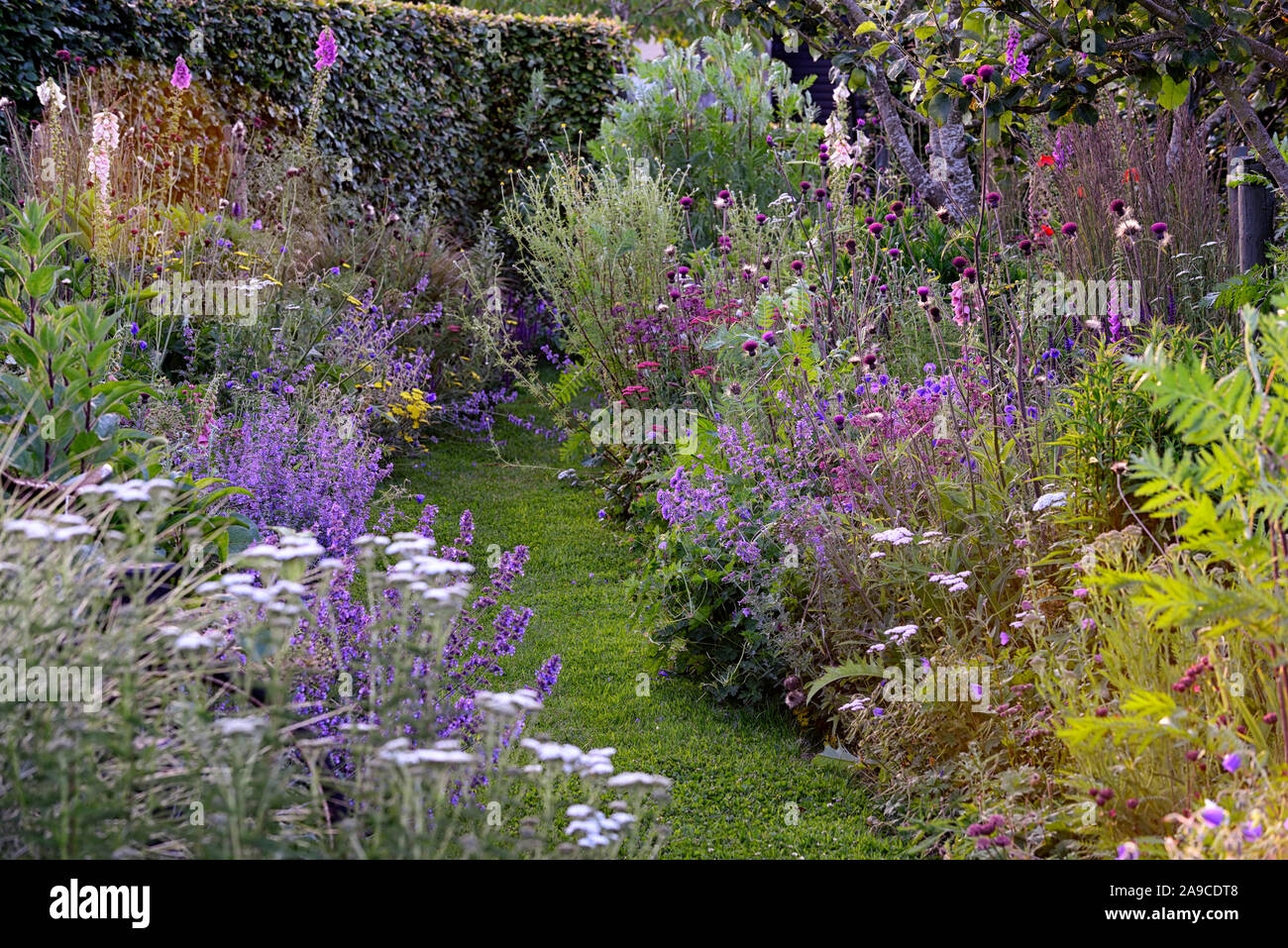 Cottage garden path hi-res stock photography and images - Alamy