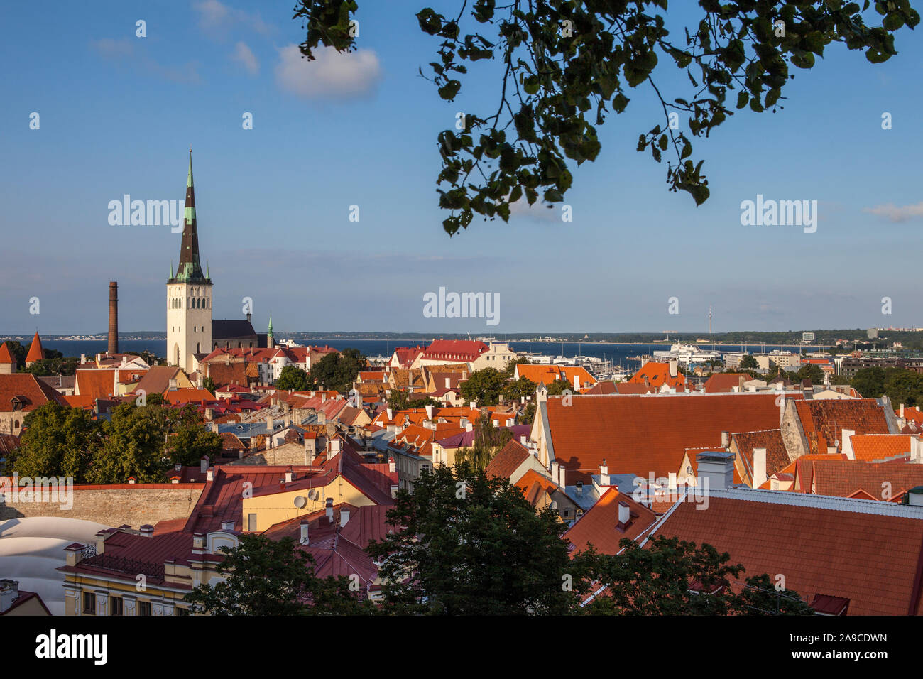 The stunning panoramic views from Toompea Hill looking over the ...