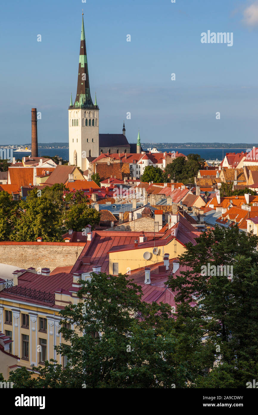 The stunning panoramic views from Toompea Hill looking over the ...