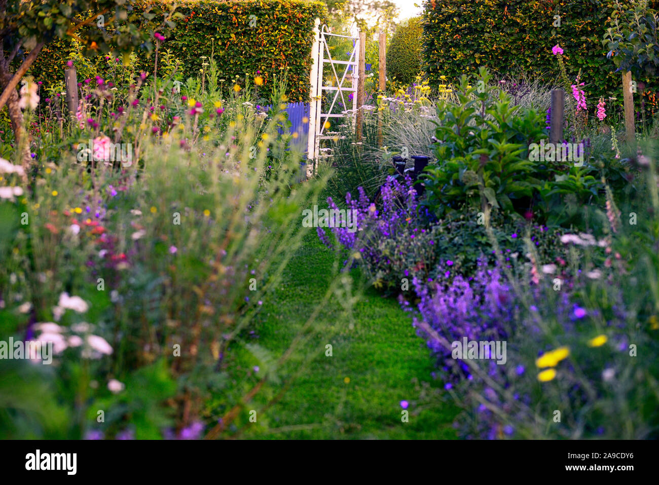 Pathway through borders hi-res stock photography and images - Alamy