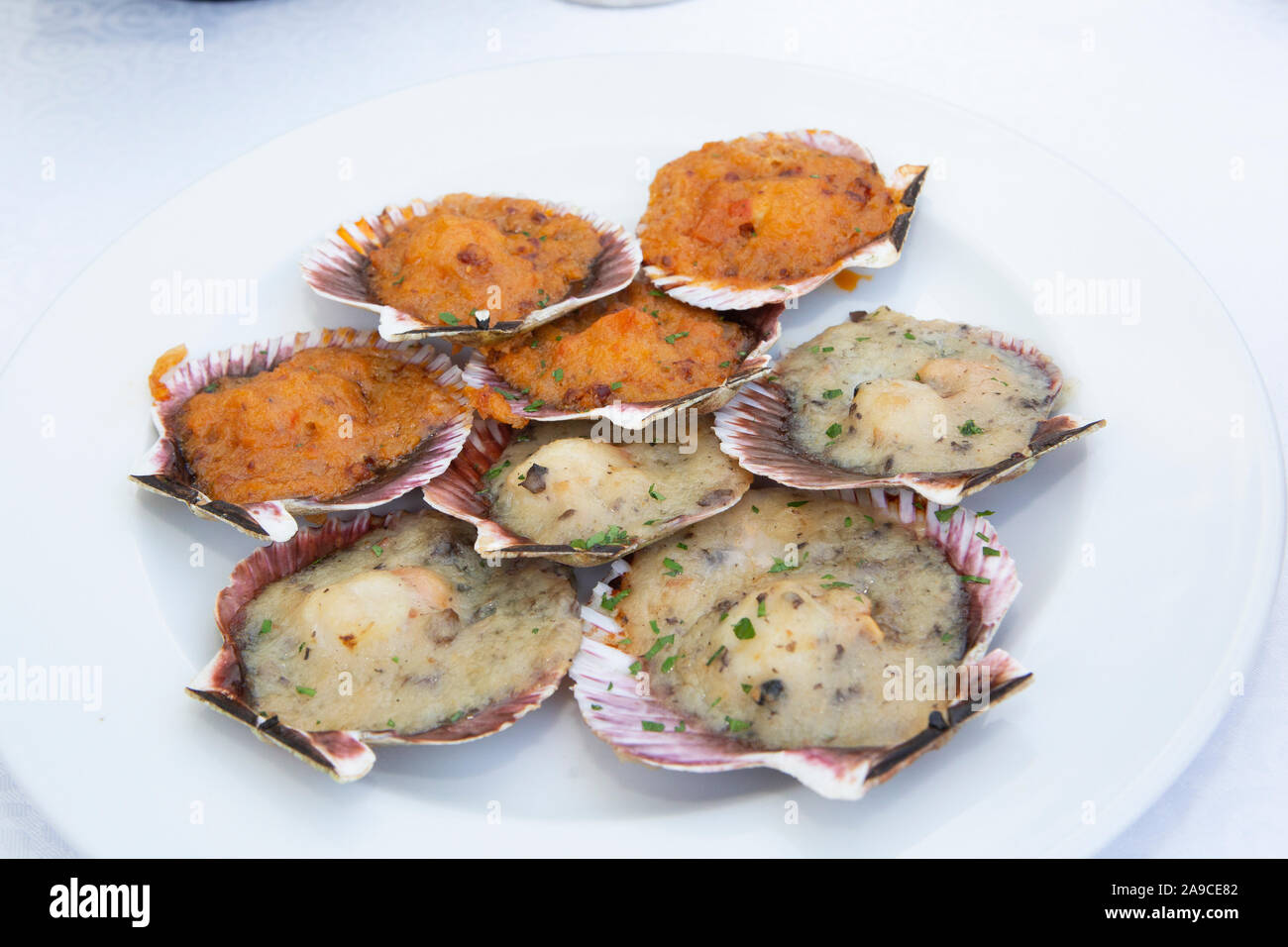 Scallops plate hi-res stock photography and images - Alamy