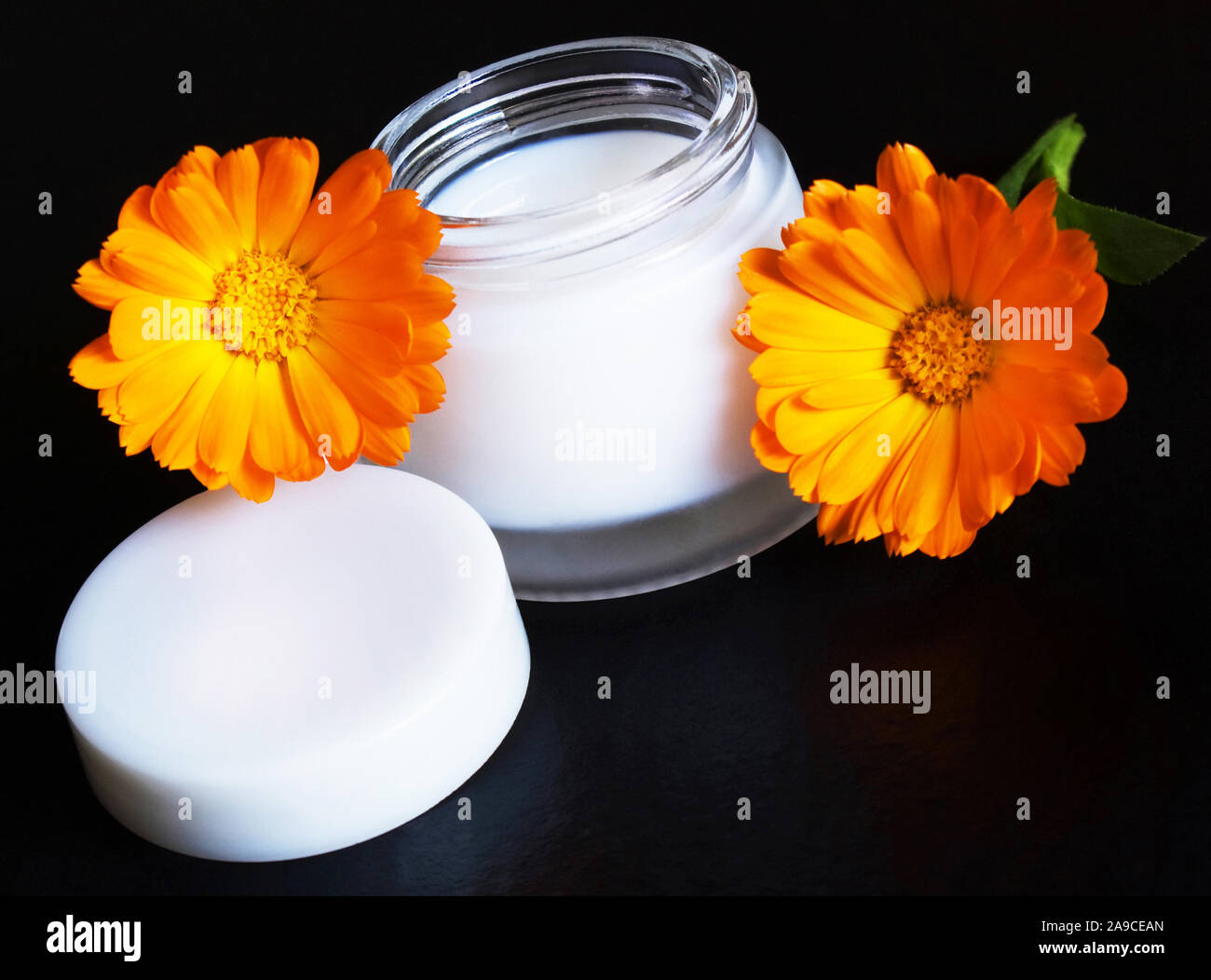 Cream pot with marigold flowers Stock Photo - Alamy