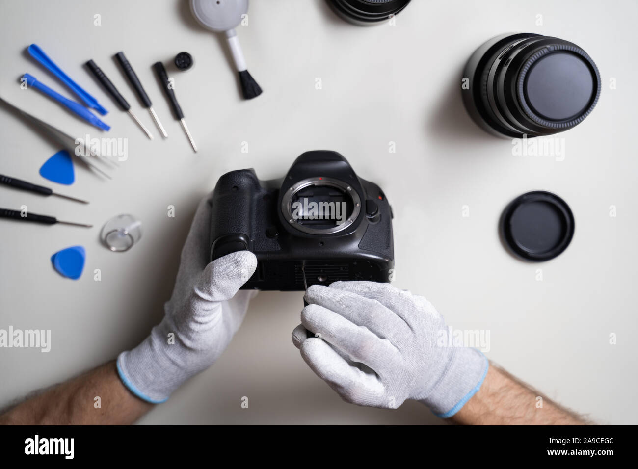 Man body parts hi-res stock photography and images - Alamy