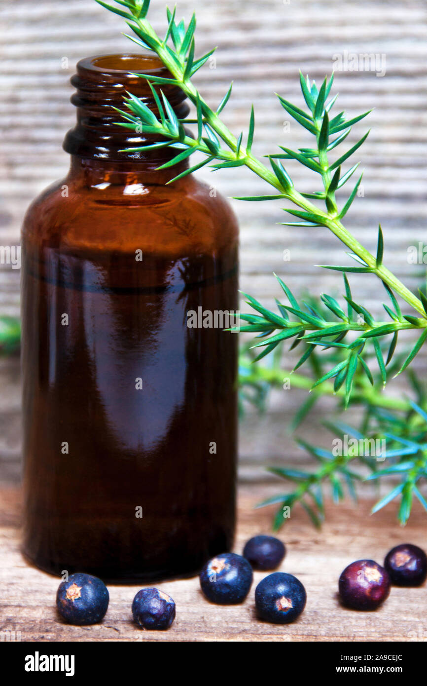 Juniper berries extract hi-res stock photography and images - Alamy