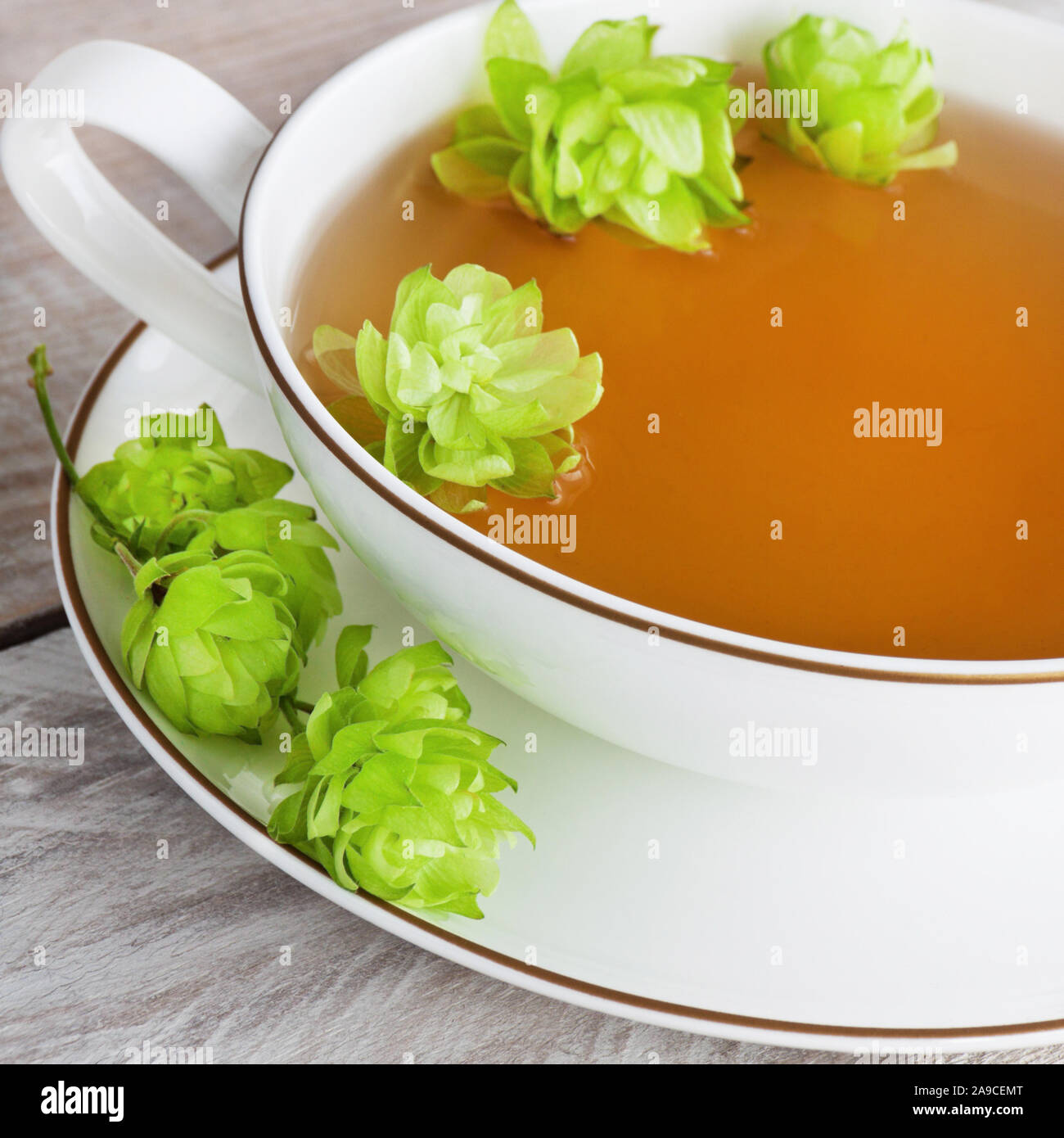 Hop tea hi-res stock photography and images - Alamy