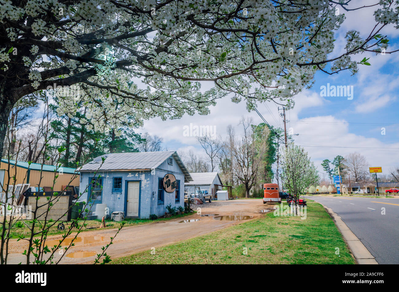 The Mud Hole is a thrift store along Highway 82 in Reform, Alabama ...