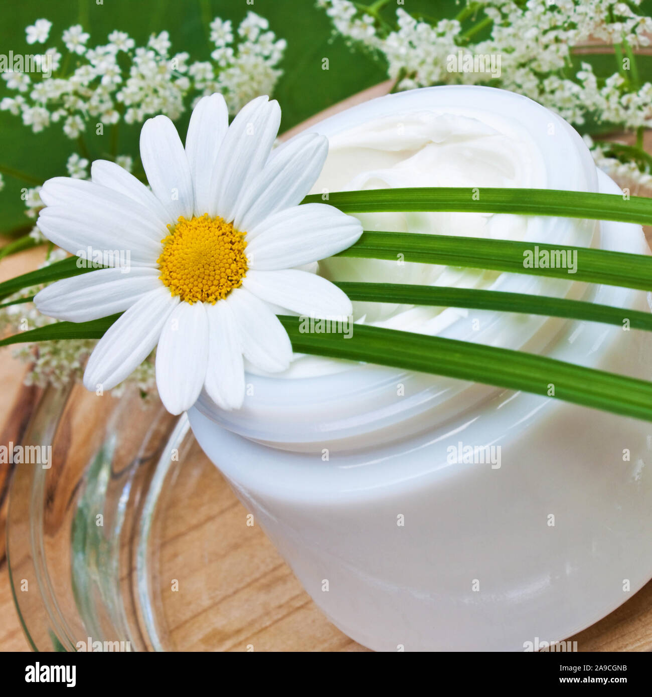 Square cream pot hi-res stock photography and images - Alamy