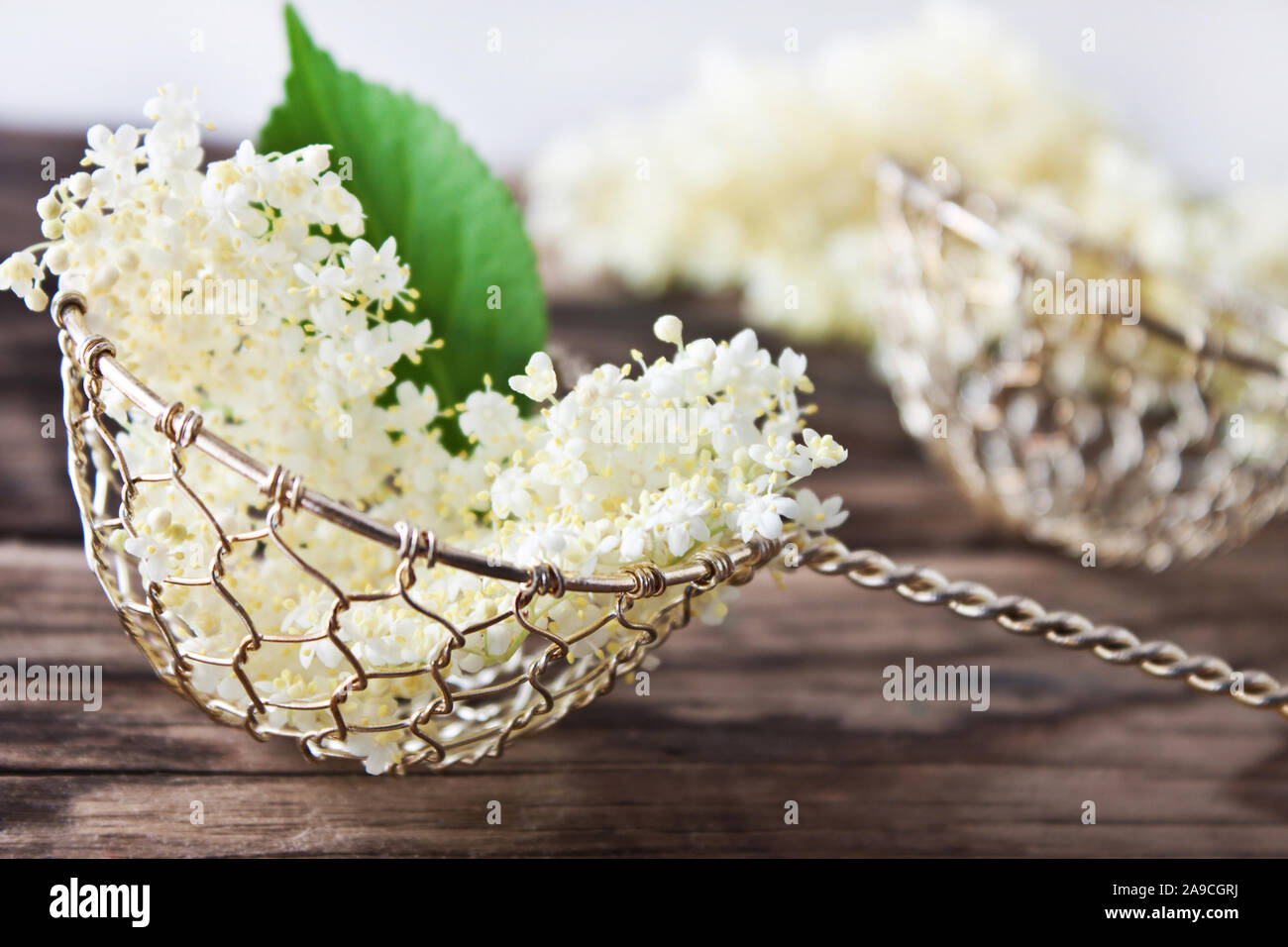 Elder cooking hi-res stock photography and images - Alamy